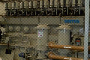 Ruston Engine Specialists » European Diesels